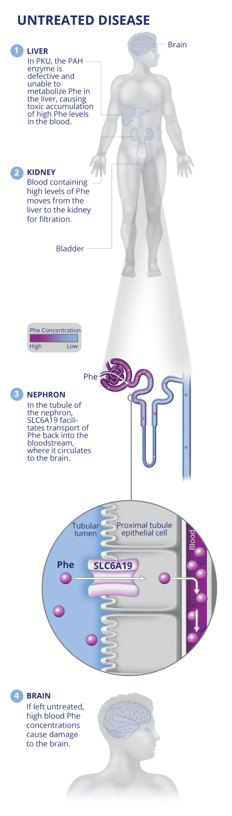 Programs | Jnana Therapeutics